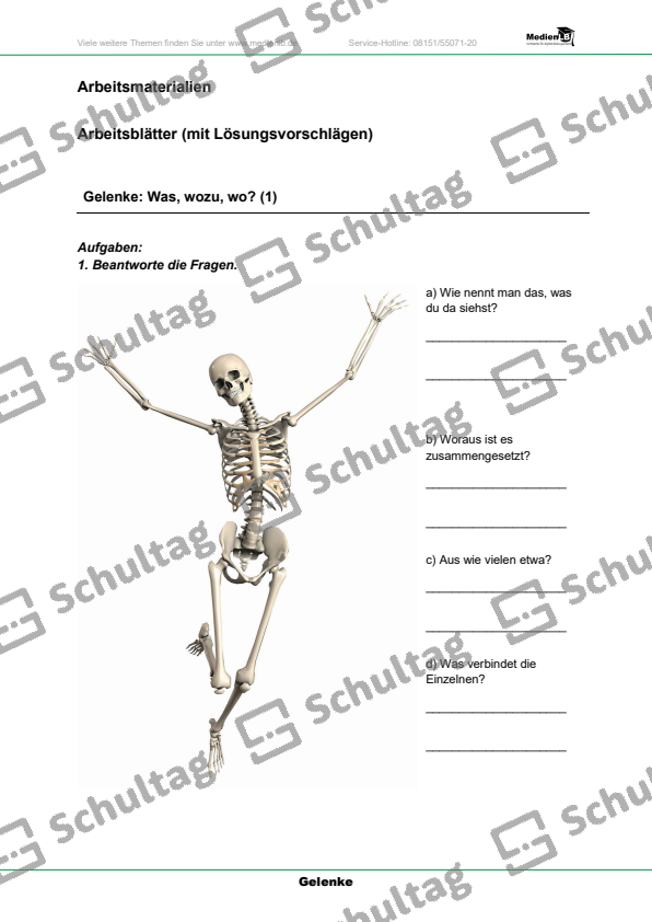 Aufbau der Gelenke II – Schultag