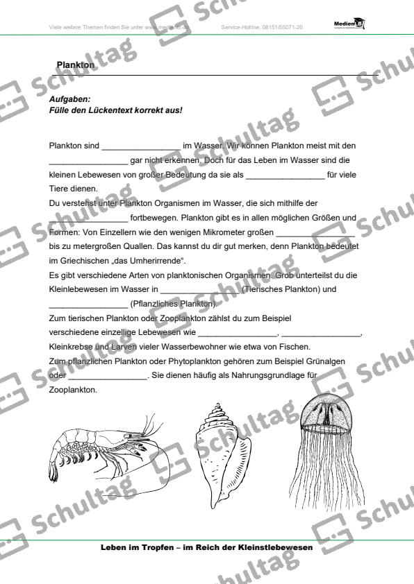 Aufbau des Lichtmikroskops – Schultag