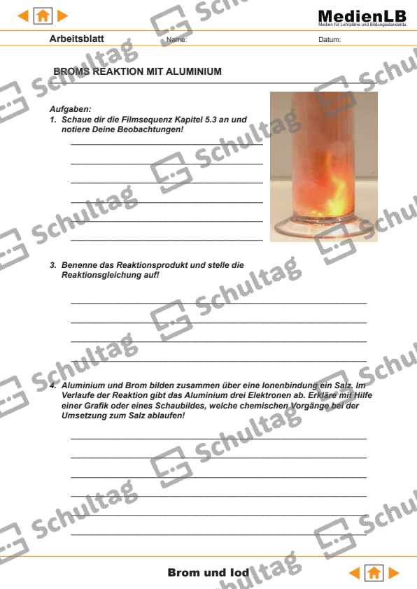 DIE FAMILIE DER HALOGENE – Schultag