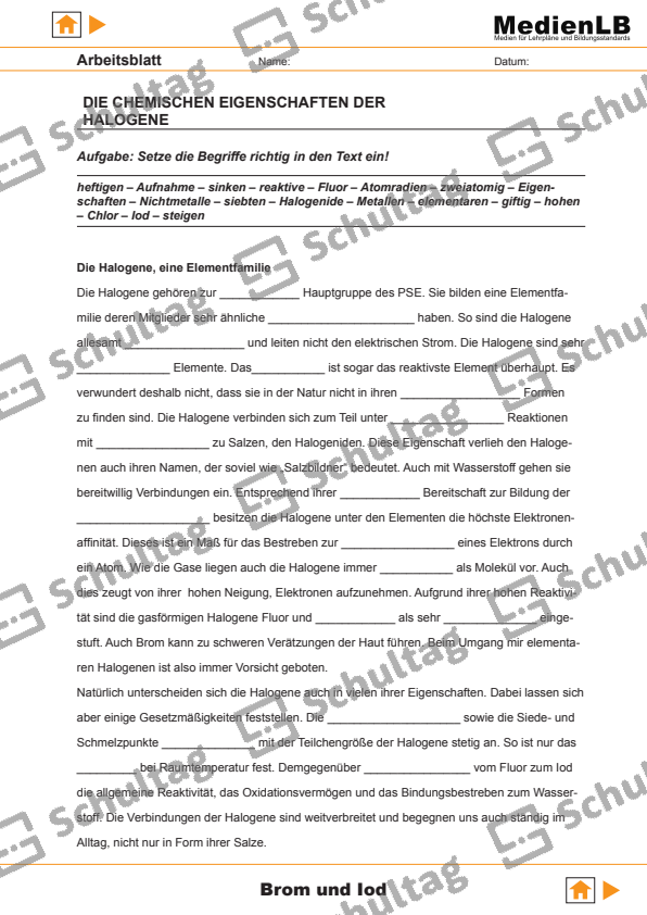 DIE FAMILIE DER HALOGENE – Schultag