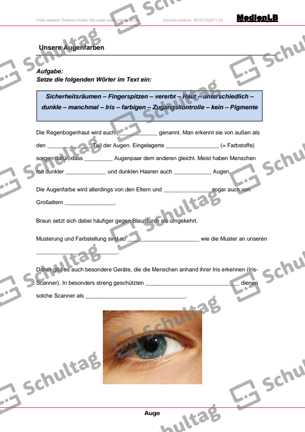 Normal-, Kurz- und Weitsichtigkeit im Überblick – Schultag