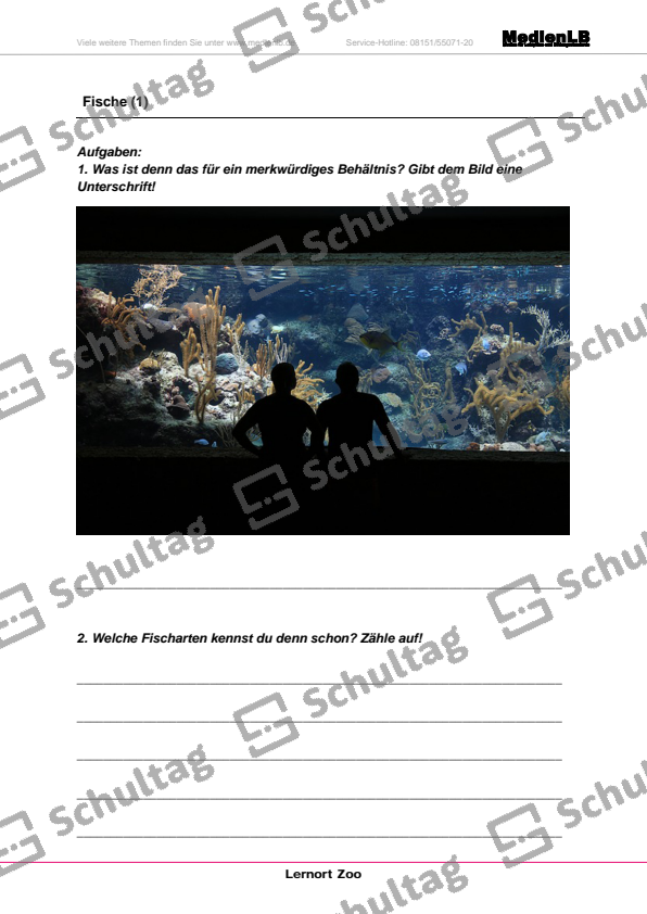 Tiere im Zoo – Schultag