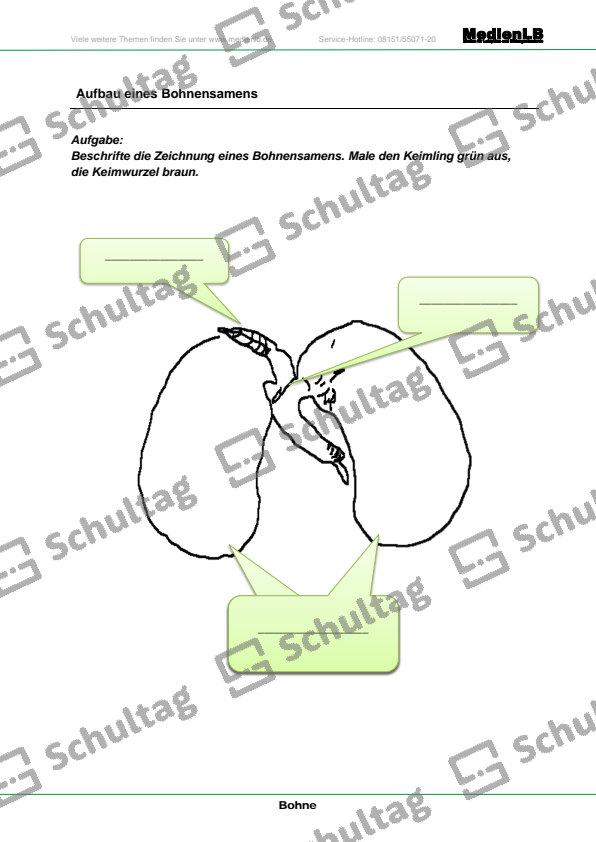 Quellung – Schultag