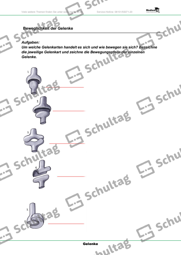 Gelenkformen – Schultag