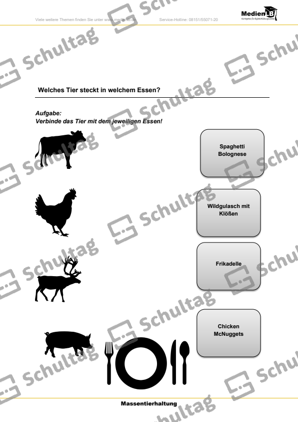 Schlussfolgerungen – Schultag