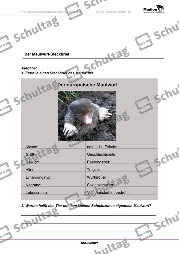 Sinnesorgane – Schultag