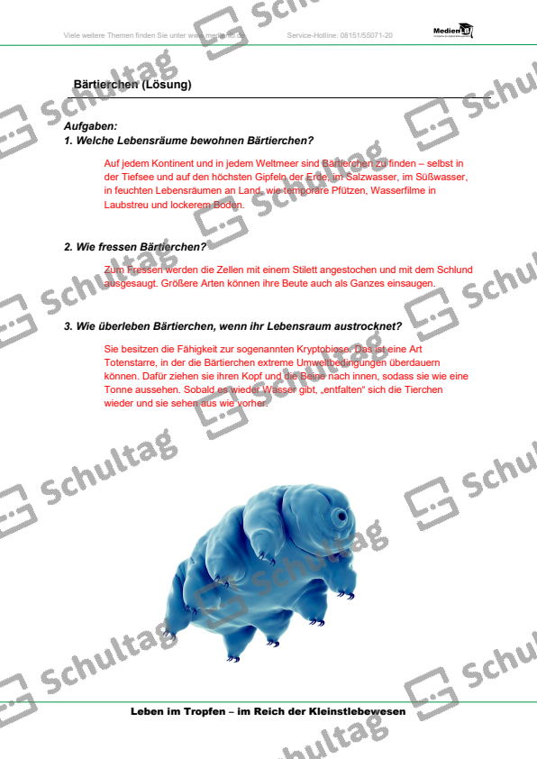 Bärtierchen – Schultag