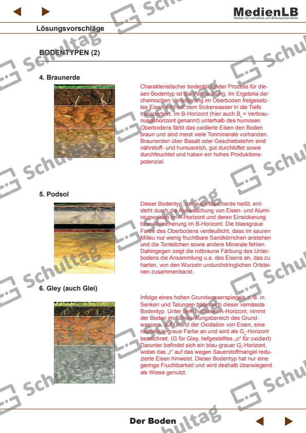 Bodentypen – Schultag