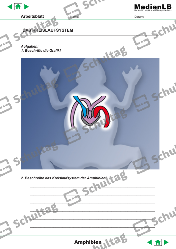 Die Vier-Quadrat-Atmung – Quadrat Atmung Bilder – IUJLEO