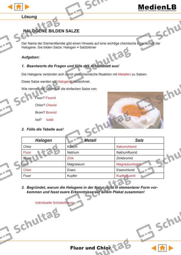 HALOGENE BILDEN SALZE – Schultag