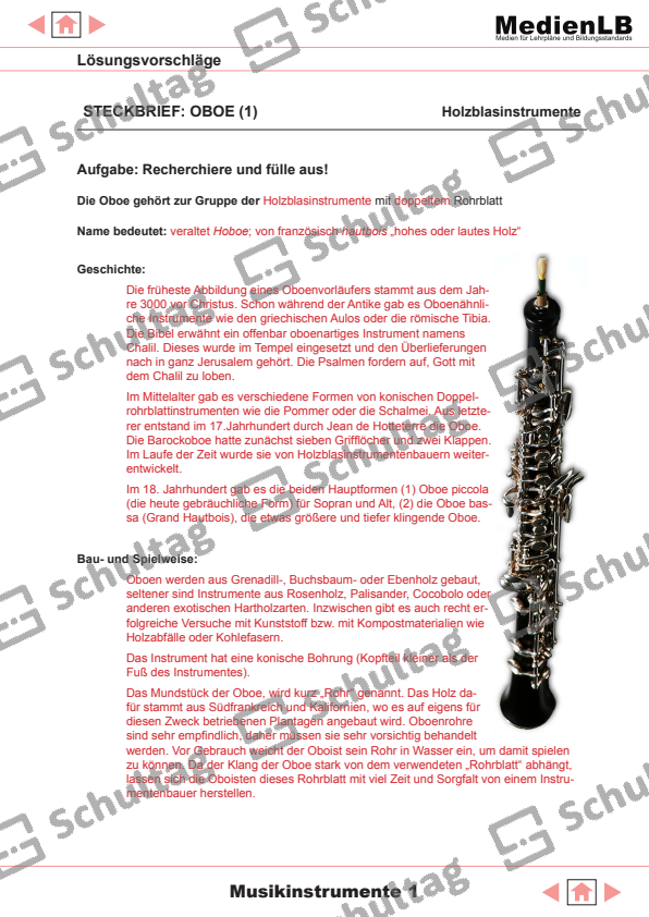 STECKBRIEF OBOE – Schultag