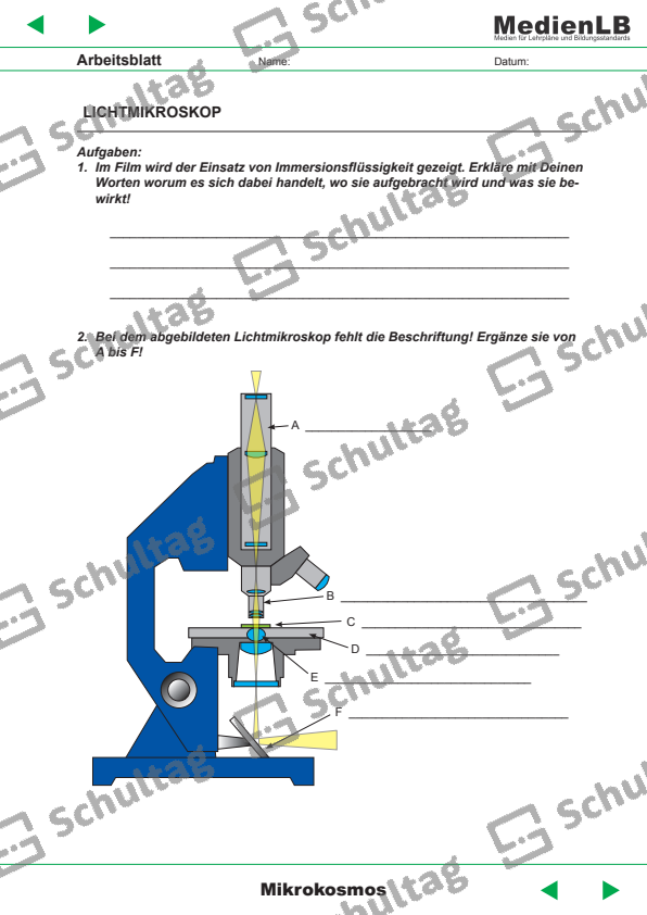 FUNKTION DER LUPE – Schultag