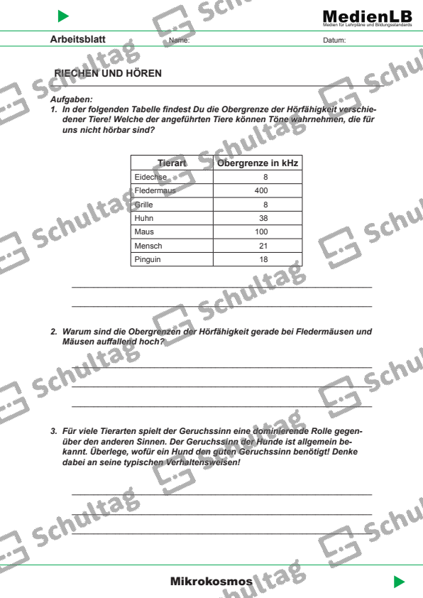 FUNKTION DER LUPE – Schultag