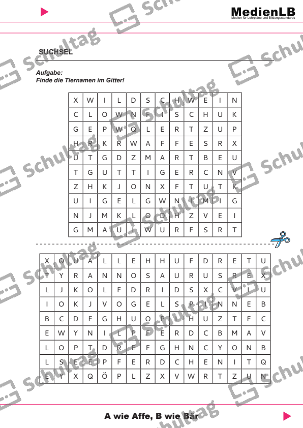 SUCHSEL – Schultag