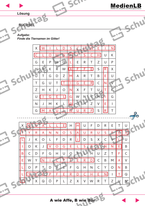 SUCHSEL – Schultag
