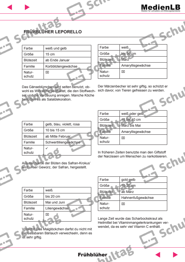 FRÜHBLÜHER LEPORELLO – Schultag