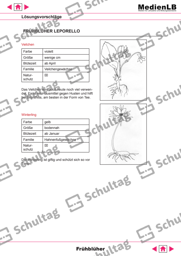 FRÜHBLÜHER LEPORELLO – Schultag