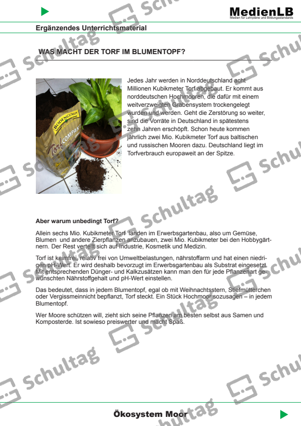 ENTSTEHUNG VON MOOREN – Schultag