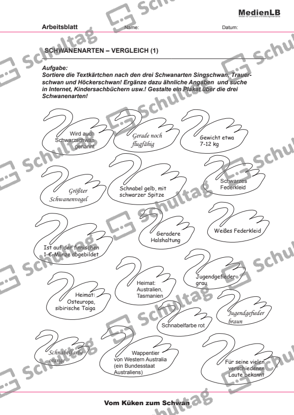 FEDERARTEN UND IHRE AUFGABEN – Schultag