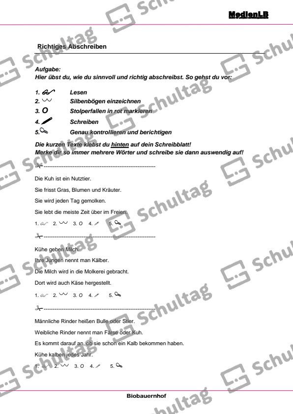 Richtiges Abschreiben – Schultag