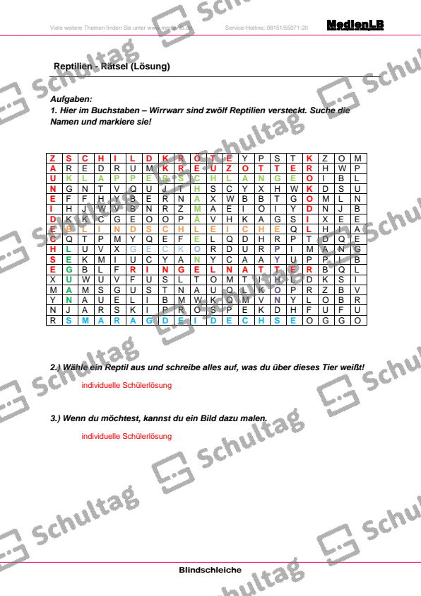 Reptilien – Rätsel – Schultag