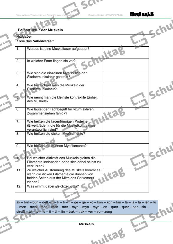 Aufbau der menschlichen Skelettmuskulatur – Schultag Aufbau der menschlichen Skelettmuskulatur – Schultag