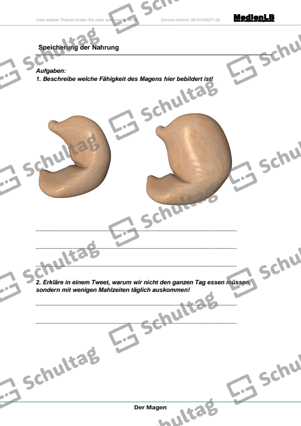 Der Magen (Sammlung) – Schultag