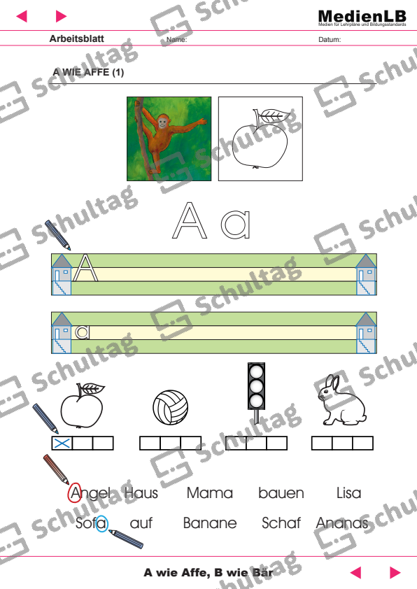A WIE AFFE – Schultag