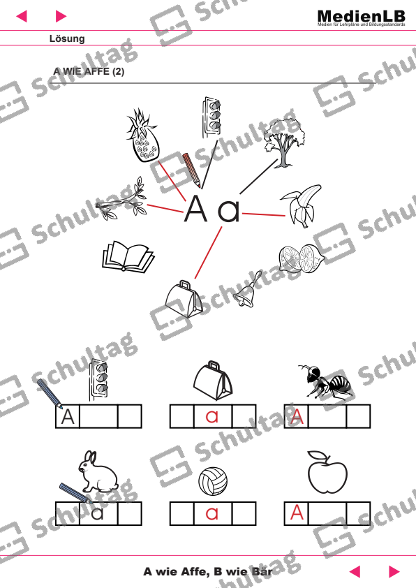 A WIE AFFE – Schultag