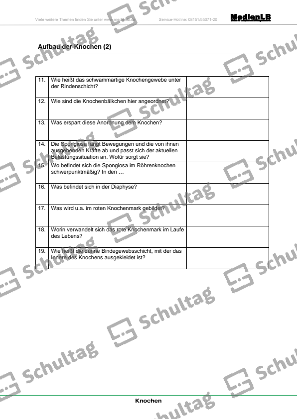 Aufbau der Knochen – Schultag