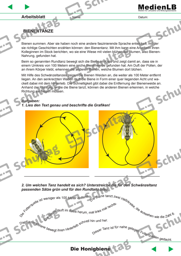 VOM EI ZUR BIENE – Schultag