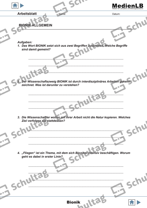 WISSENSKARTE – Schultag