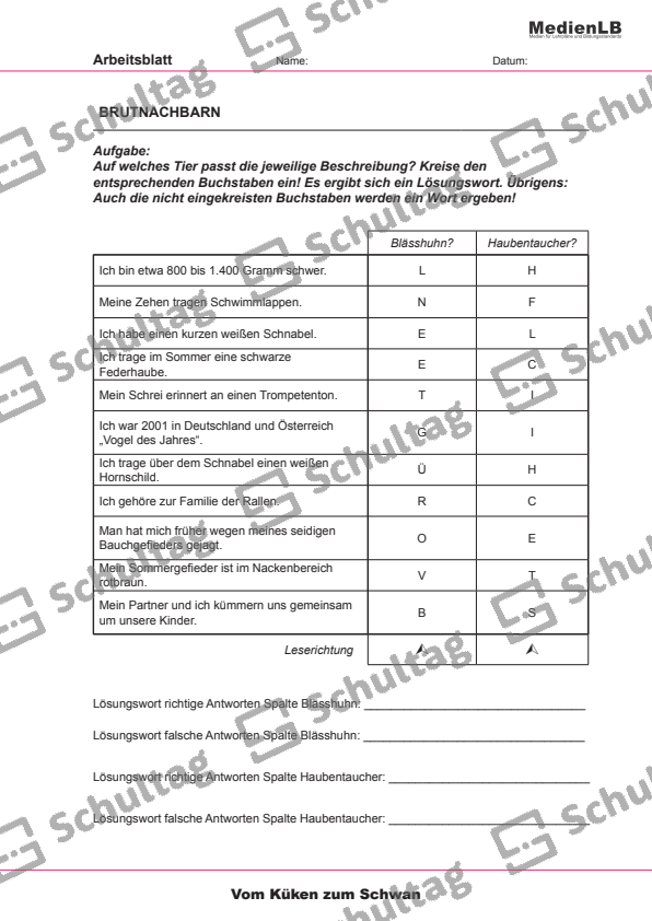 FEDERARTEN UND IHRE AUFGABEN – Schultag