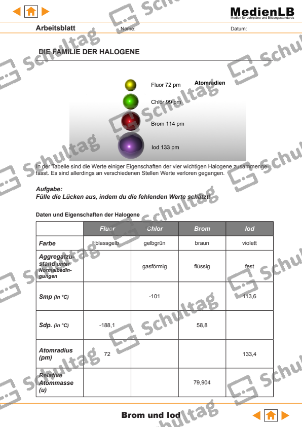 DIE FAMILIE DER HALOGENE – Schultag