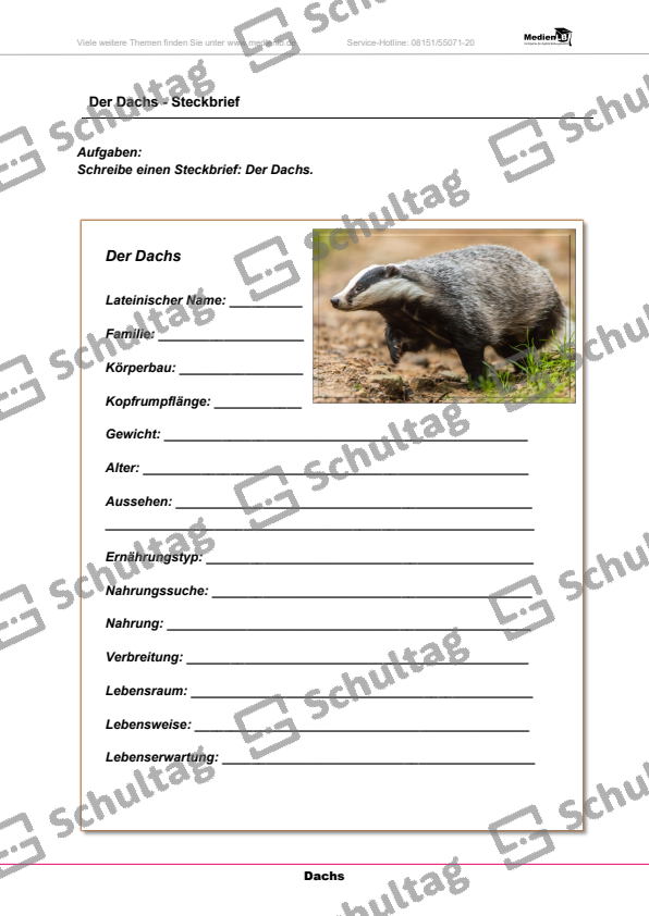 Verbreitung und Lebensraum – Schultag