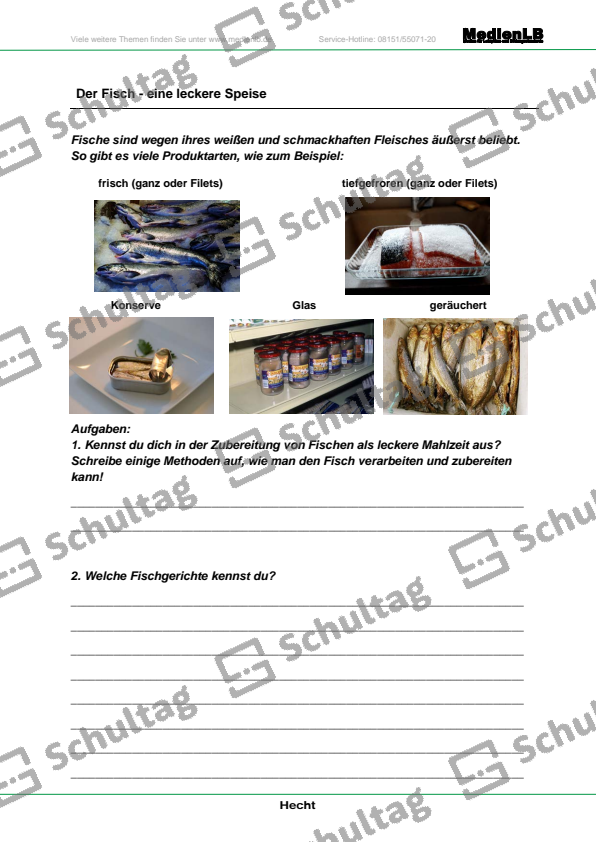 Welcher Fisch ist das – Schultag