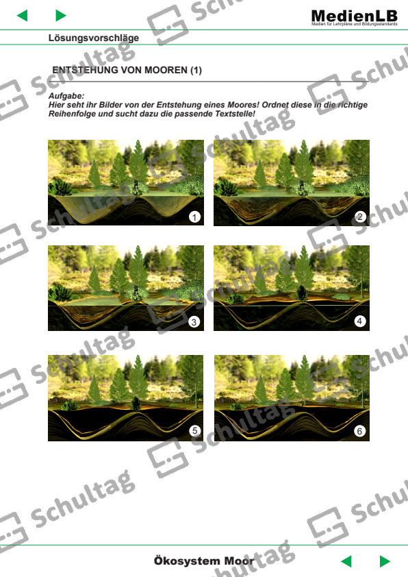 ENTSTEHUNG VON MOOREN – Schultag