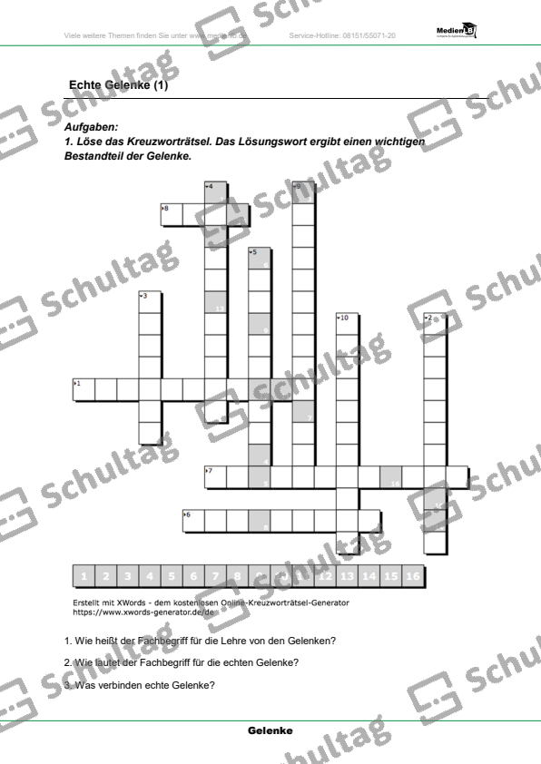 Aufbau der Gelenke II – Schultag