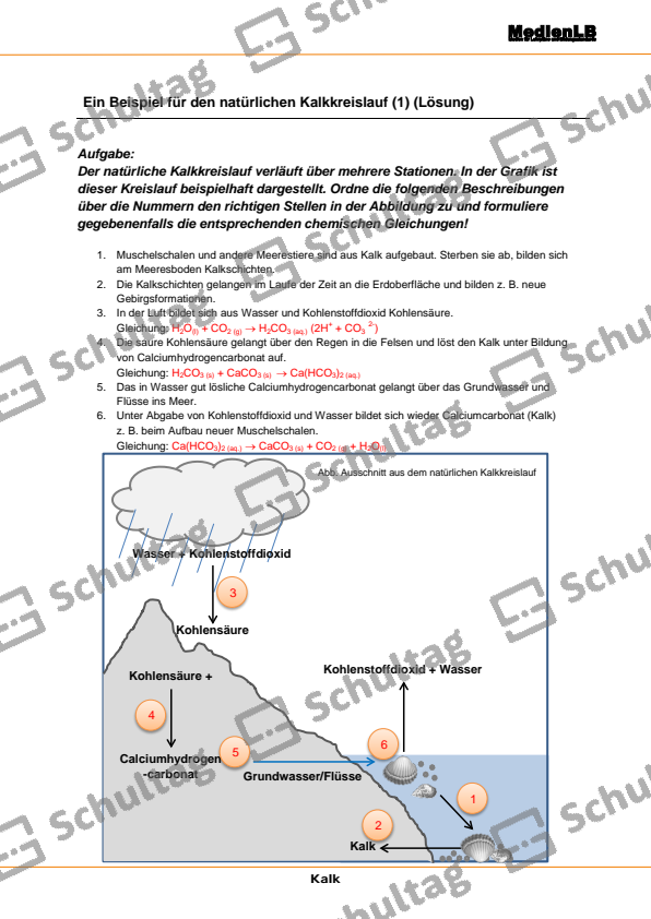 Ein Beispiel für den natürlichen Kalkkreislauf 1 – Schultag