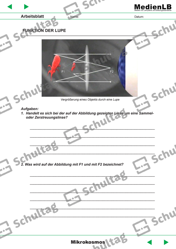 FUNKTION DER LUPE – Schultag