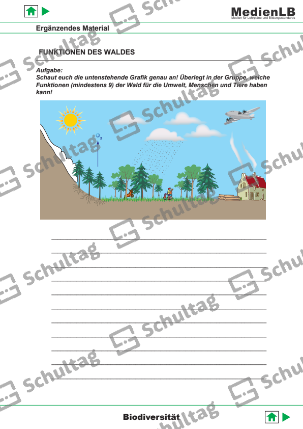 FUNKTIONEN DES WALDES – Schultag