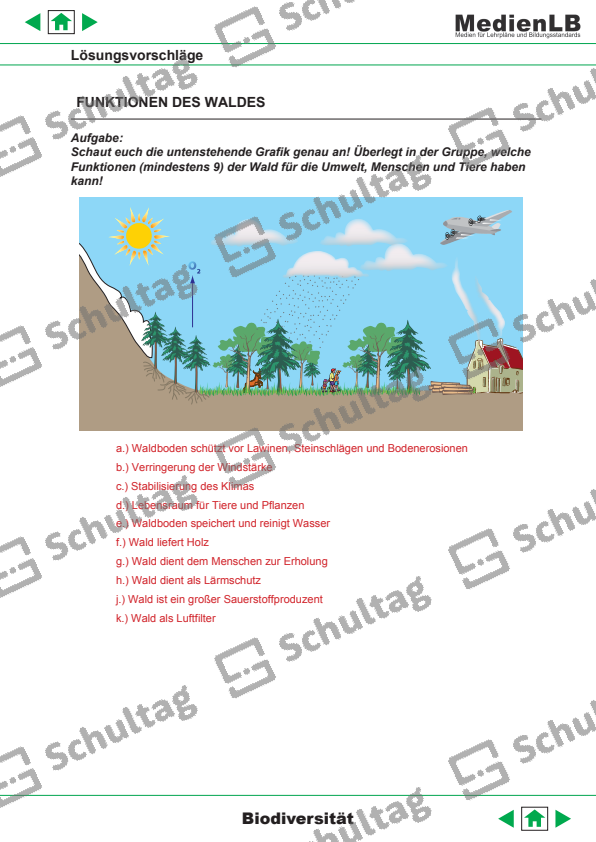 FUNKTIONEN DES WALDES – Schultag