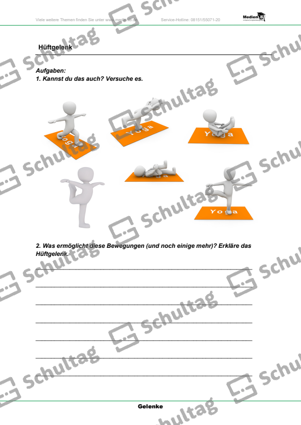 Aufbau der Gelenke II – Schultag