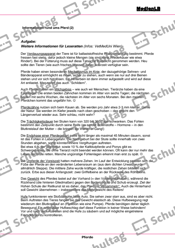 Informationen rund ums Pferd – Schultag