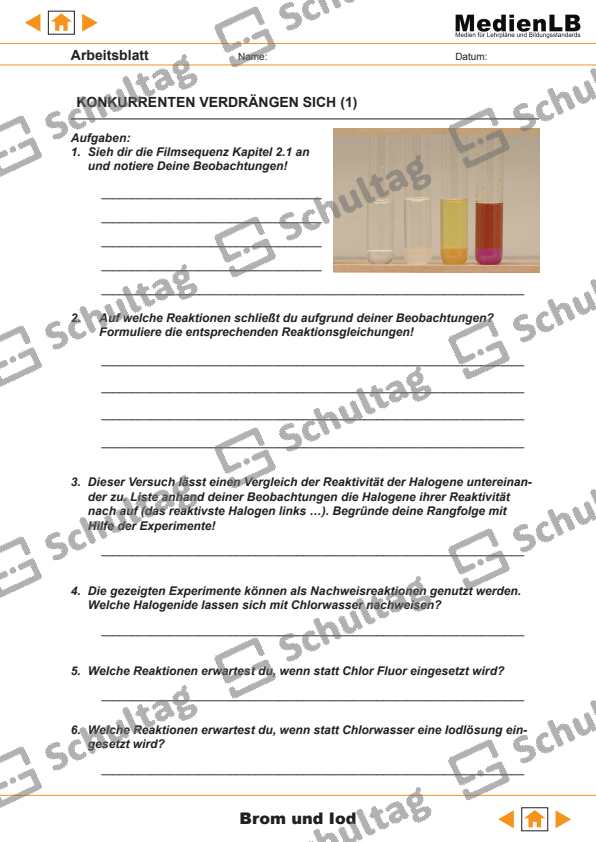 DIE FAMILIE DER HALOGENE – Schultag