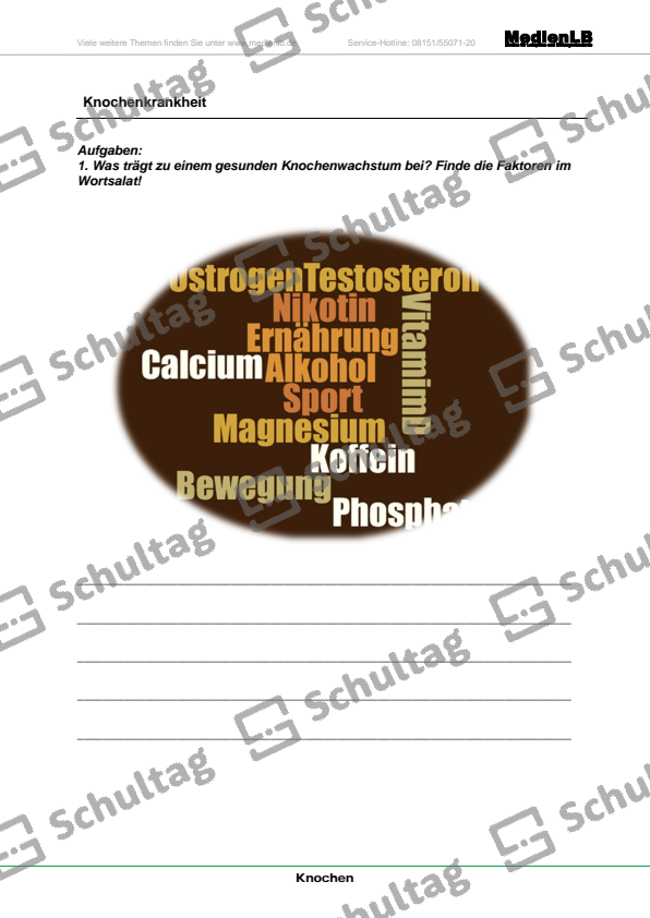 Knochenformen – Schultag