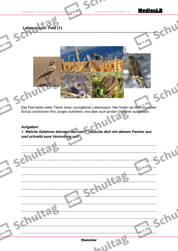 Das Hamster – ABC – Schultag