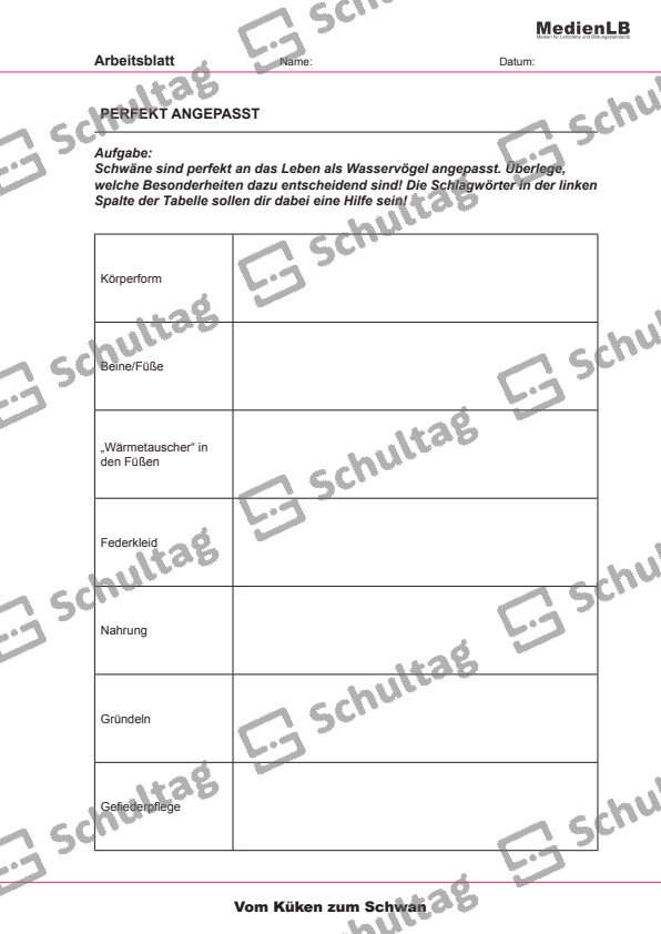 FEDERARTEN UND IHRE AUFGABEN – Schultag