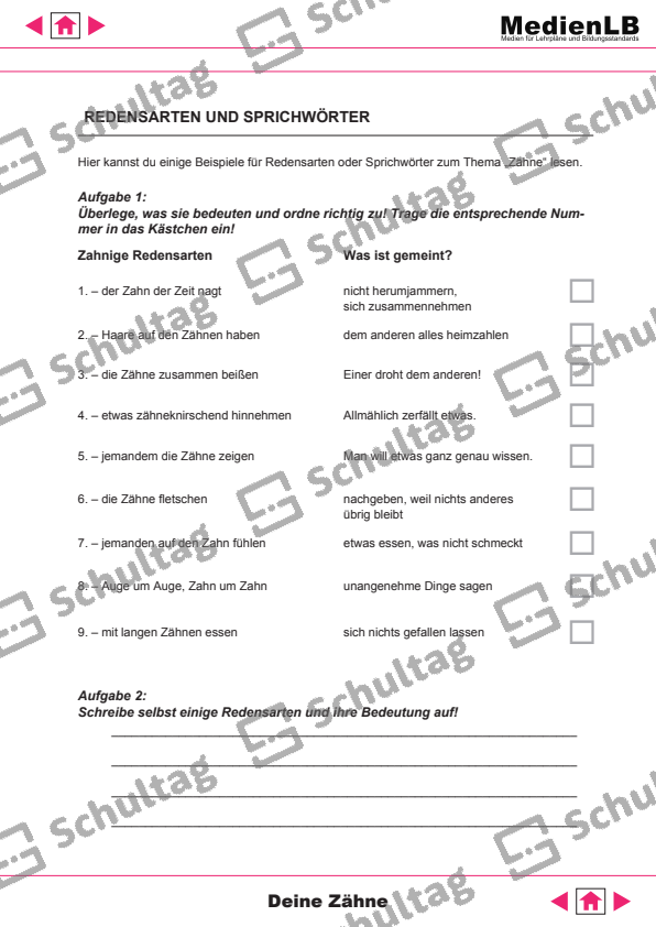 REDENSARTEN UND SPRICHWÖRTER – Schultag