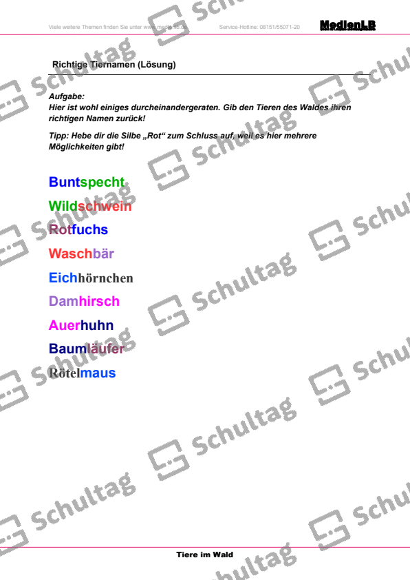 Richtige Tiernamen – Schultag